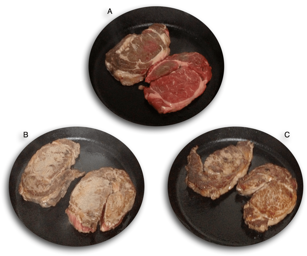 Frozen vs. Fresh Rib-eye Steak | Doing Science To Stuff