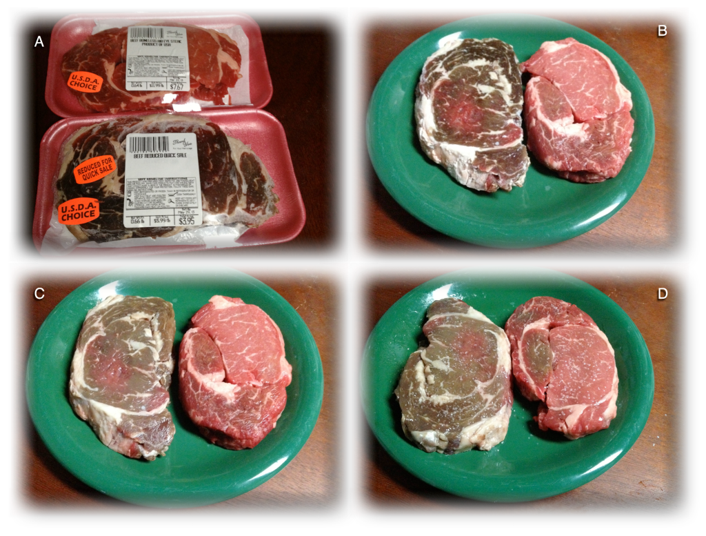 Frozen vs. Fresh Rib-eye Steak | Doing Science To Stuff