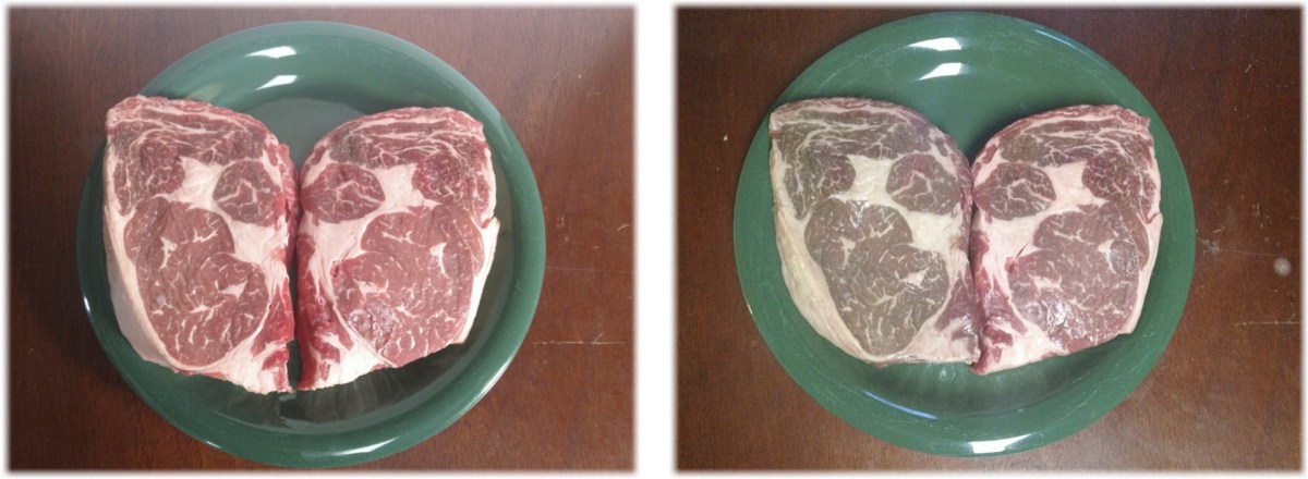Fresh vs Frozen Steak Revisited | Doing Science To Stuff