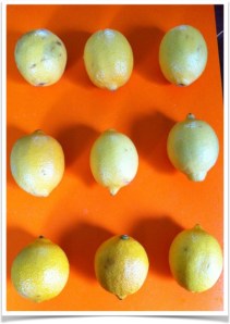 Lemon vs. Aged Lemon | Doing Science To Stuff