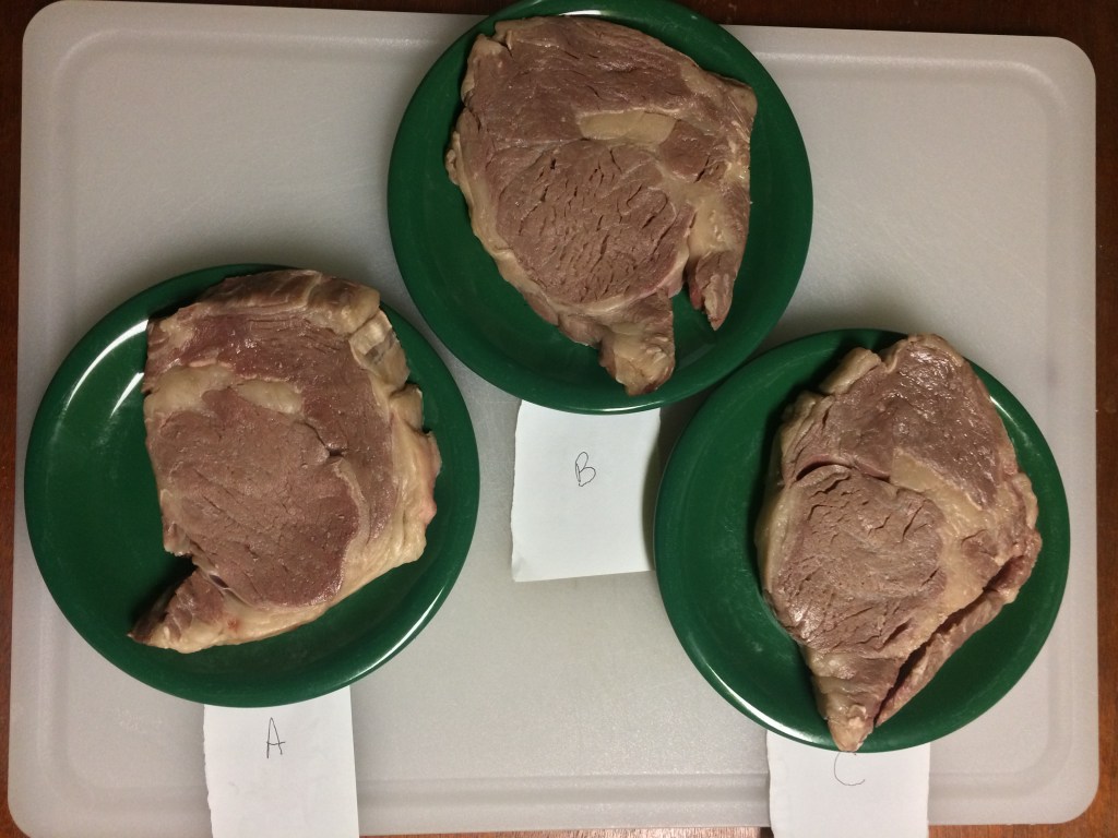 Sear-iously Delicious Steaks | Doing Science To Stuff