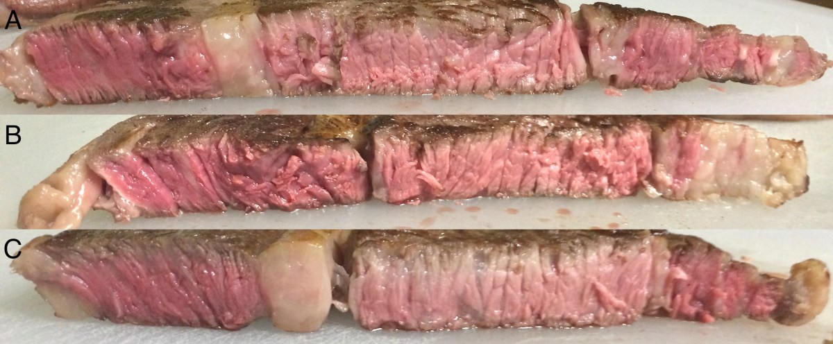 Sear-iously Delicious Steaks | Doing Science To Stuff