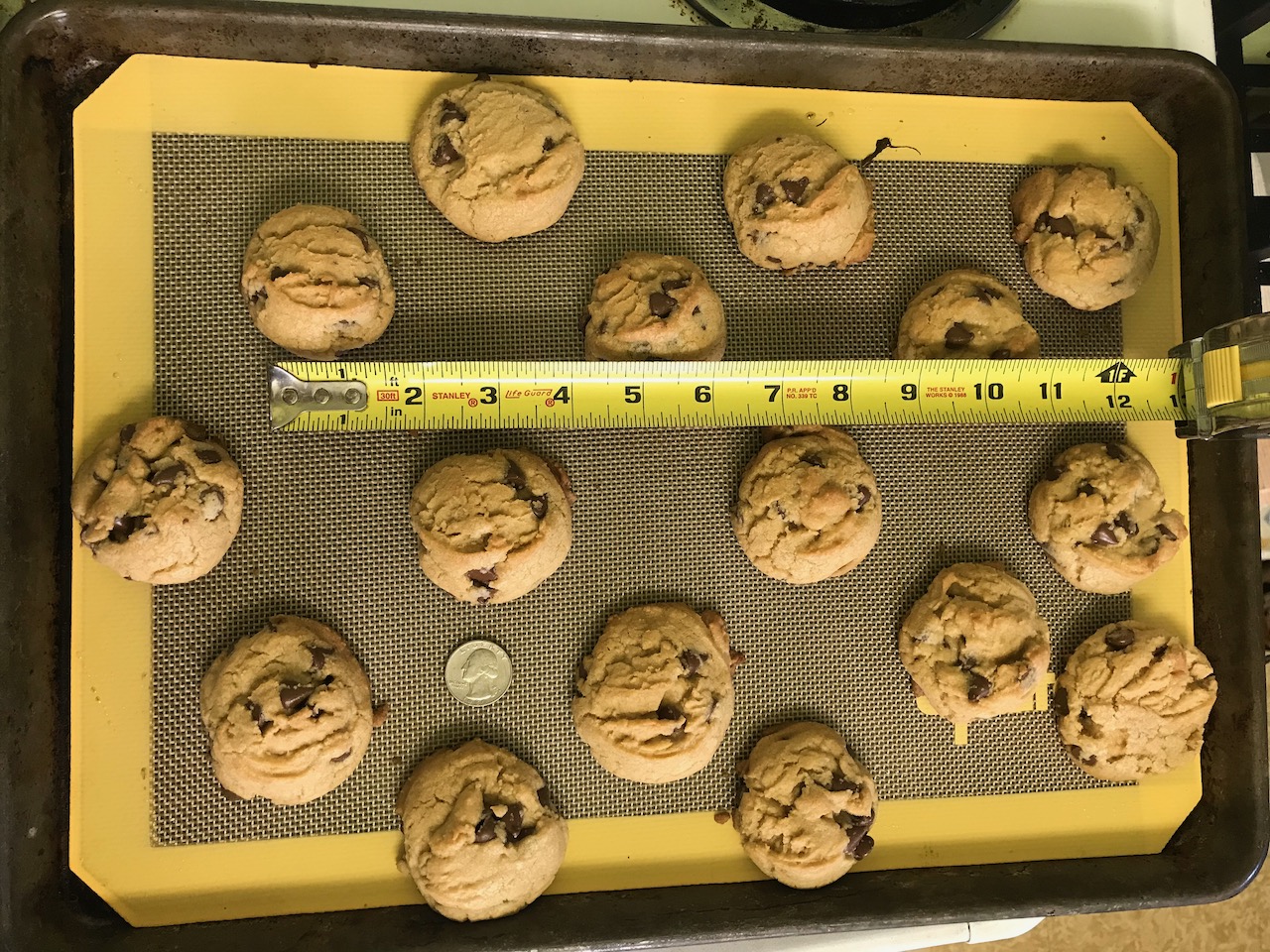 Counting on Cookies | Doing Science To Stuff